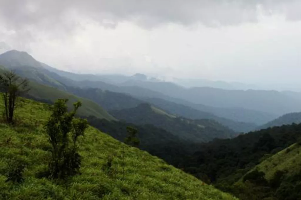8 Reasons To Visit Coorg For A Short And Sweet Honeymoon