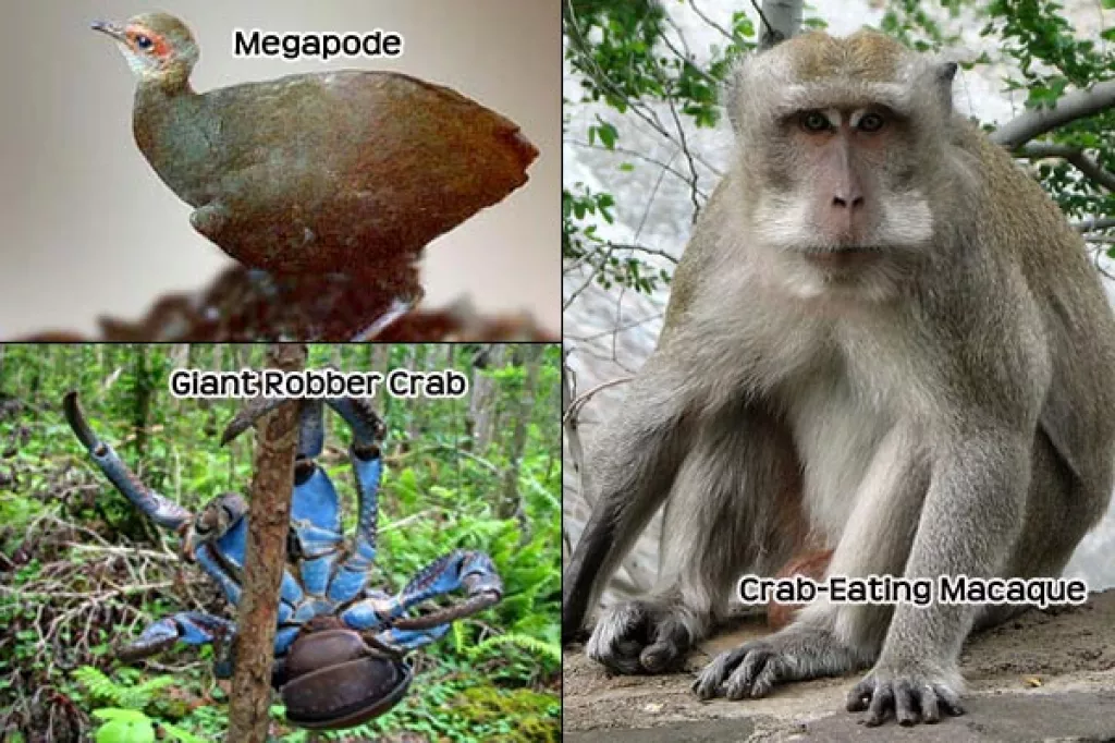 10 Places In Andaman And Nicobar Islands That You Must Visit On Your ...