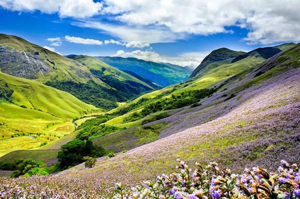 6 Most Stunning Honeymoon Destinations for Flower Lovers