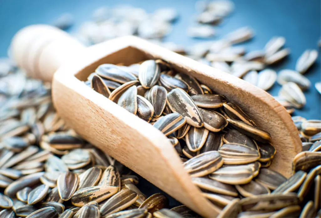 13 Natural Seeds Which You Can Add In Your Daily Diet To Easily Lose Weight