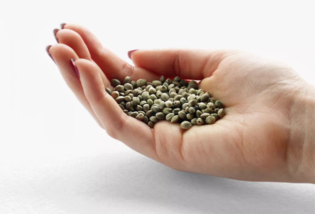 13 Natural Seeds Which You Can Add In Your Daily Diet To Easily Lose Weight