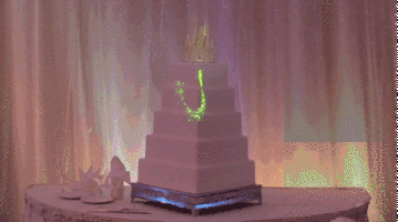 Fantastic Reasons To Have Projection Cakes At Your Wedding