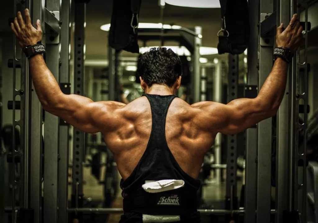 The Secrets Behind The Six Pack Abs And Flexible Body Of Tiger ...