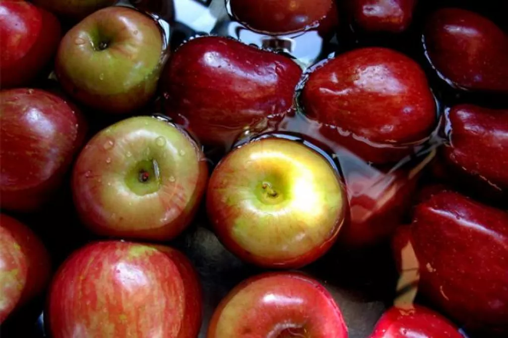 7 Super Foods That Are Effective In Treating Dandruff Naturally