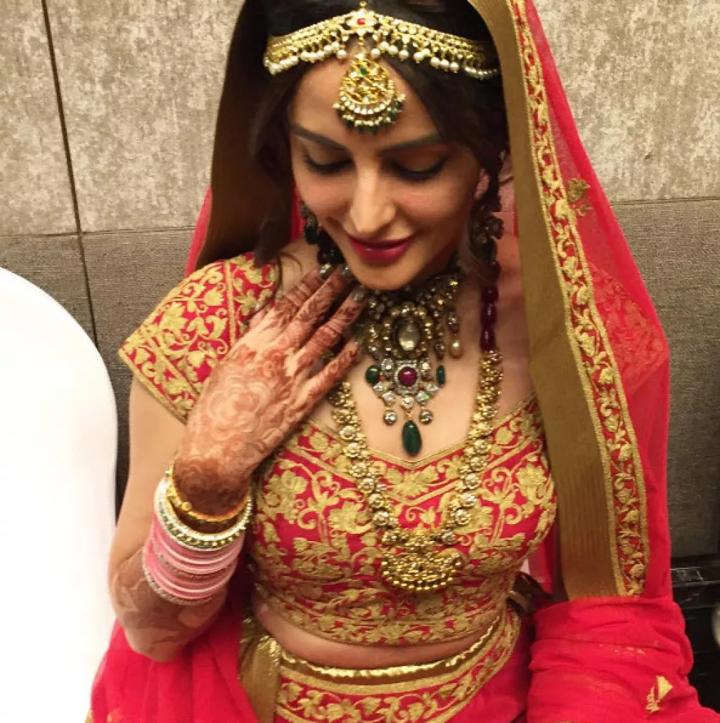 Mandana Karimi Gets Married And It Was A Star-Studded Affair