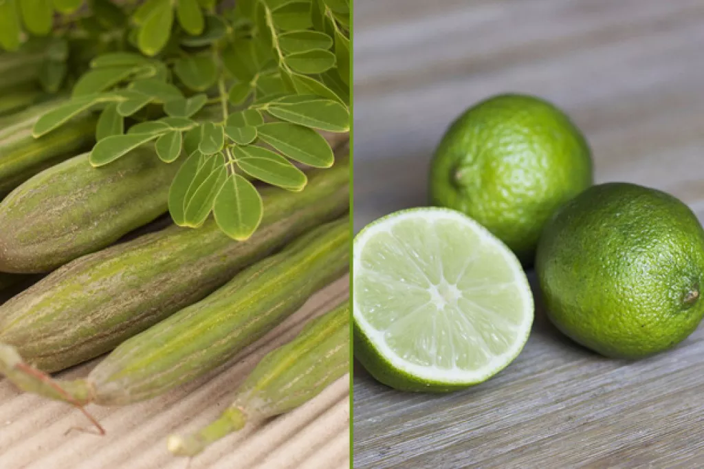 Best Home Remedies To Remove Moles Naturally From Face Without Any Surgery