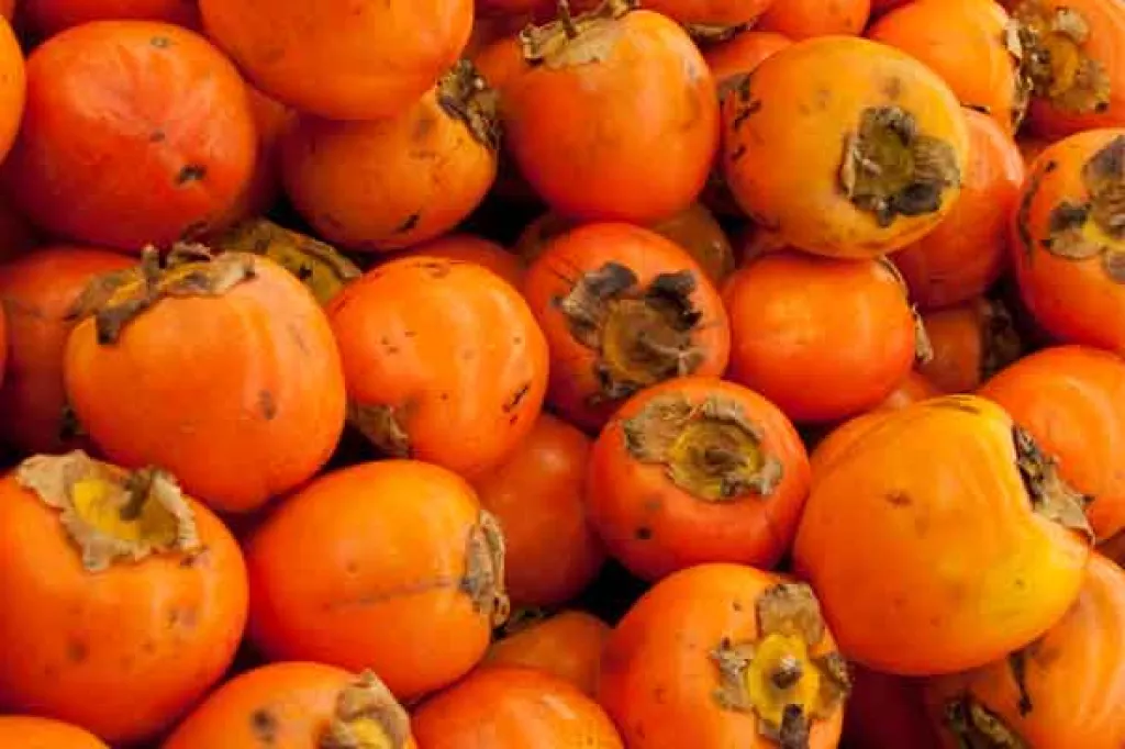 Most Unusual But Healthy Fruits You Must Try