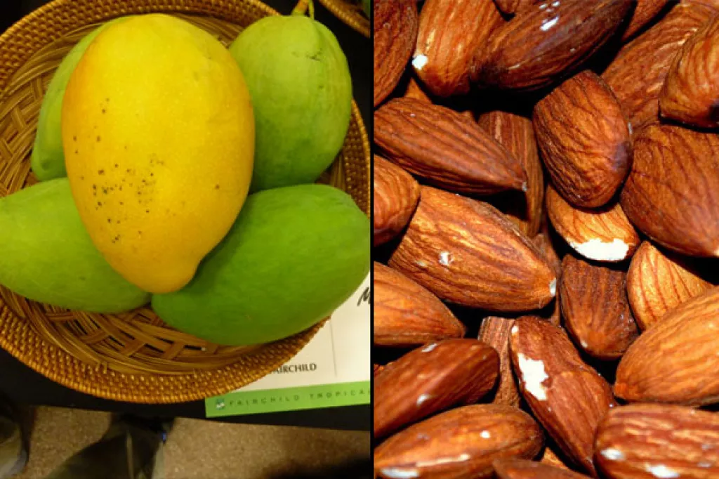 5 Homemade Mango Face Packs That Work Wonders For Your Skin; Benefits ...