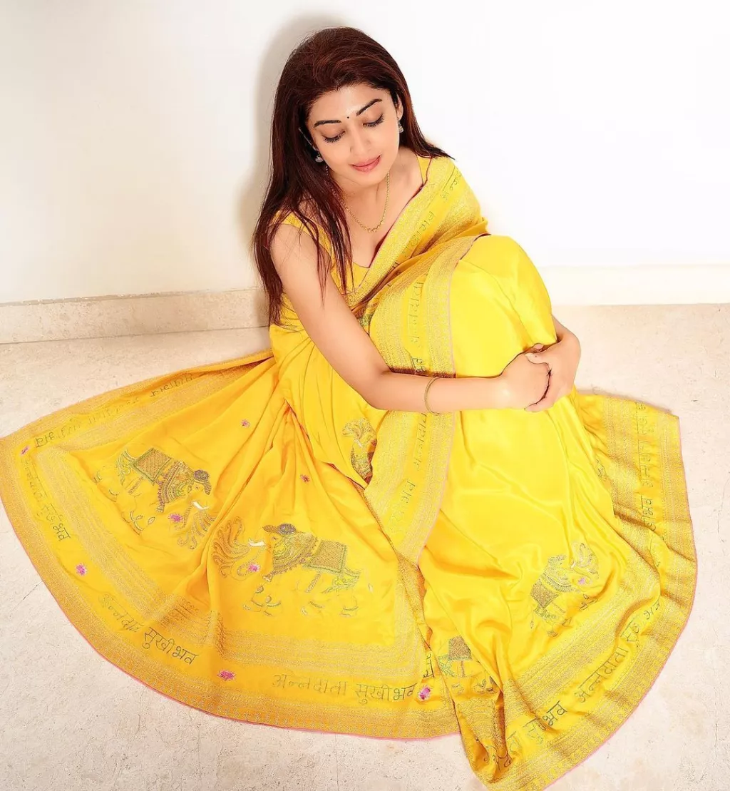 'Hungama 2' Actress, Pranitha Subhash Ties The Knot With Nitin Raju In ...