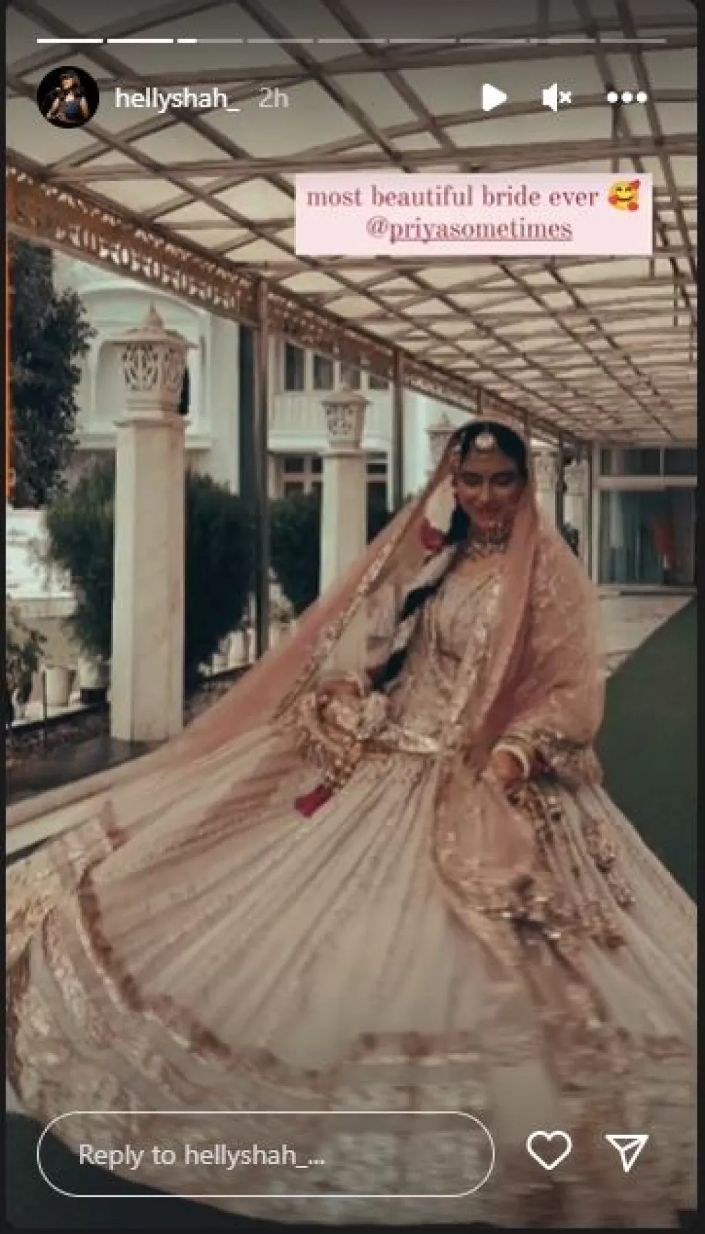 Priya Malik Gets Hitched With Beau, Karan Bakshi, The Bride Stuns In A ...