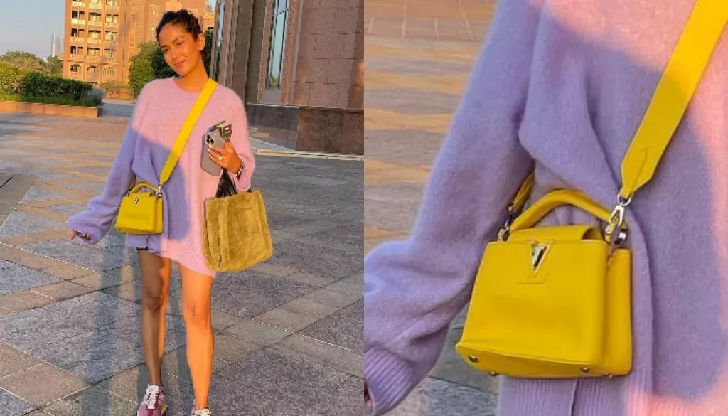 Mira Rajput Kapoor's Five Super Expensive Bags Which Can Cover The Cost ...