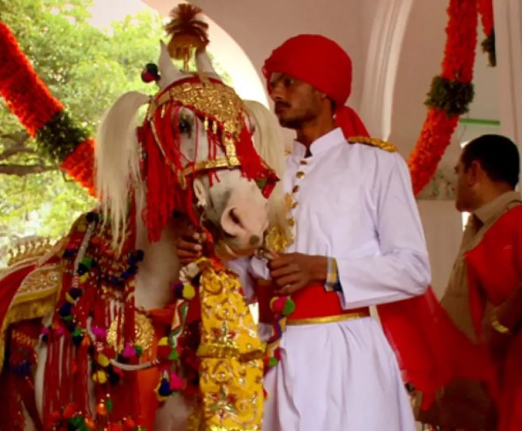 100 Room Villa, Procession Of 5000 People, Royal And Expensive Wedding Of Prince Jaideep Jadeja