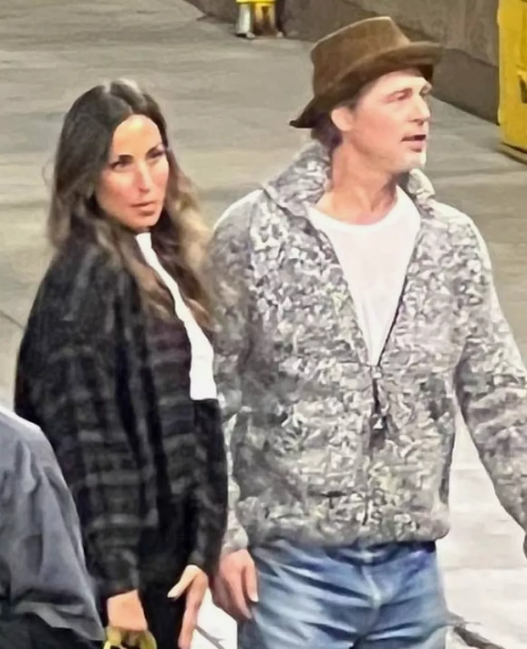 Brad Pitt Announces Ines De Ramon As His GF To His Friends, Source ...