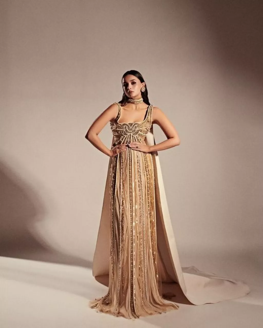 Alia Bhatt Donned A Custom-Made Elie Saab Gown With A Matching Sheer ...