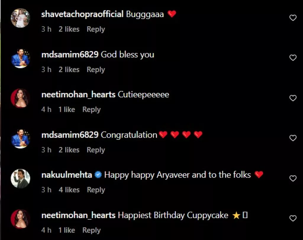 'Maasi', Mukti Mohan Drops Adorable Video Of Aryaveer, On His B-Day ...