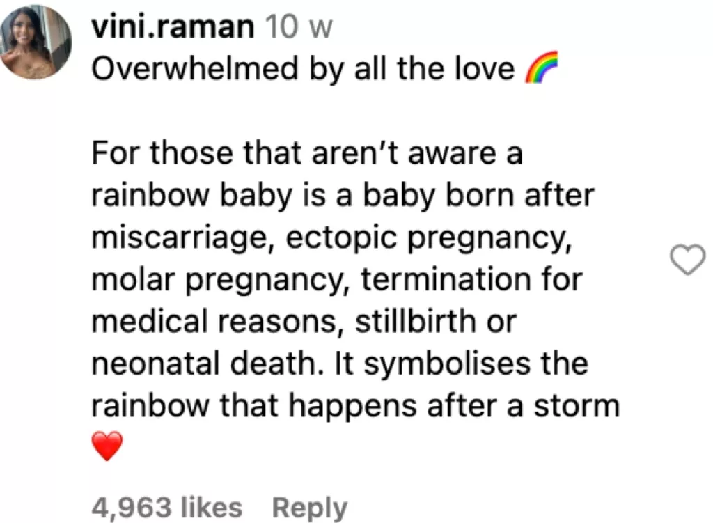 Glenn Maxwell's Wife, Vini Raman Dons Silk Saree, Shares Glimpses Of ...