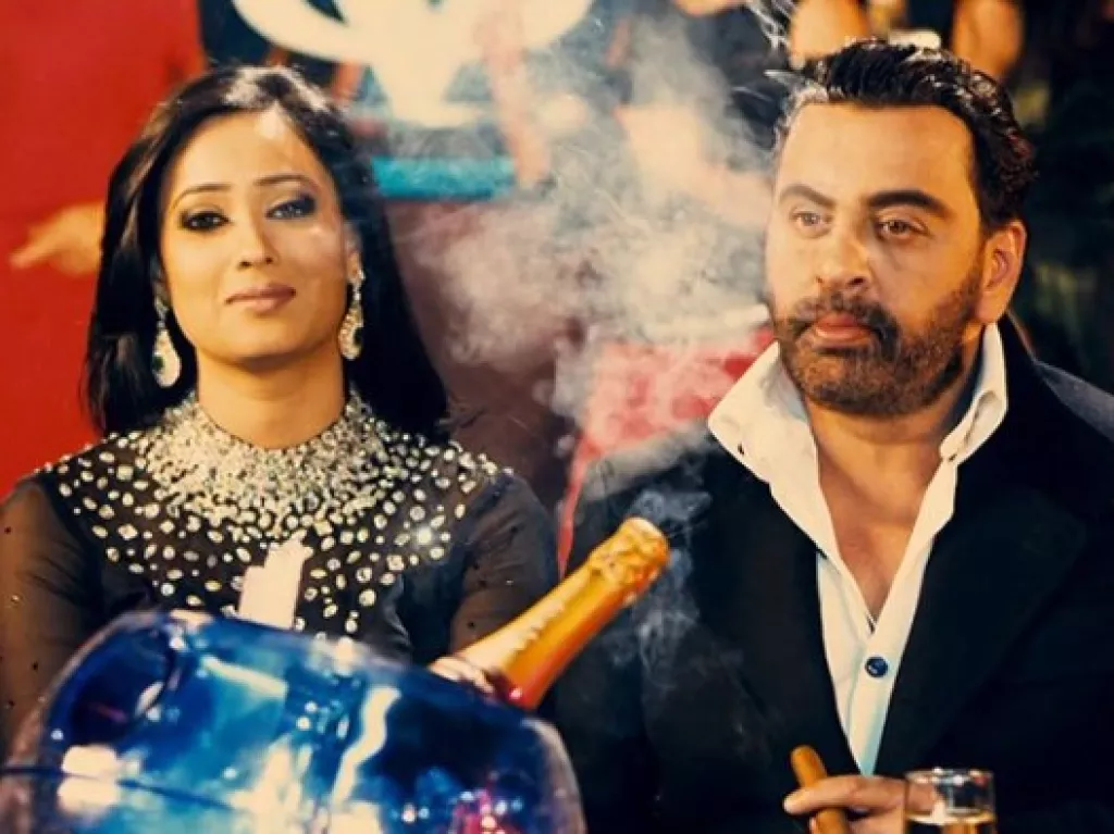 12 Bollywood Celebrities Who Acted In Pakistani Films And Dramas: From ...