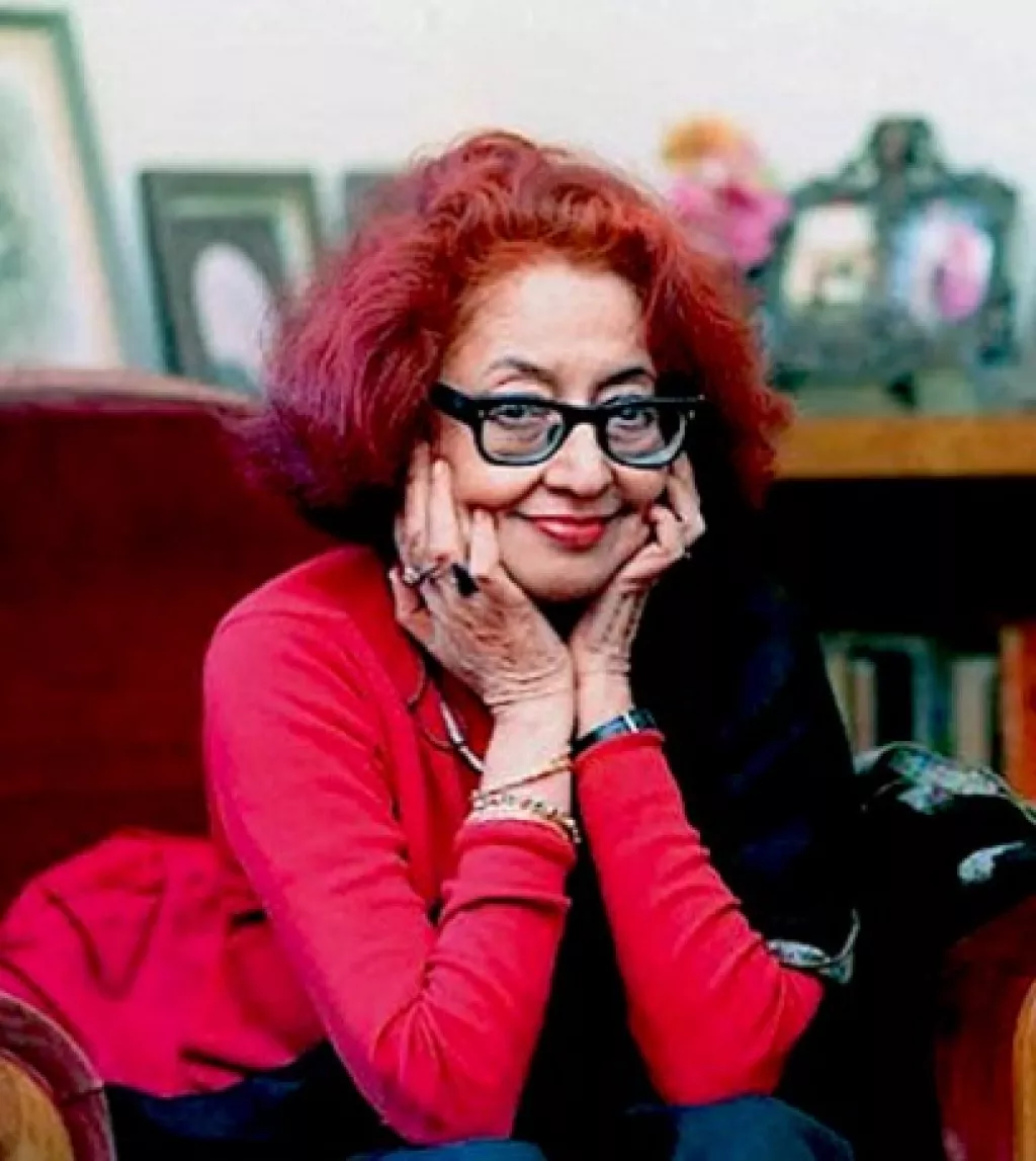 8 Pakistani Celebrities Who Have Indian Citizenship: From Adnan Sami ...