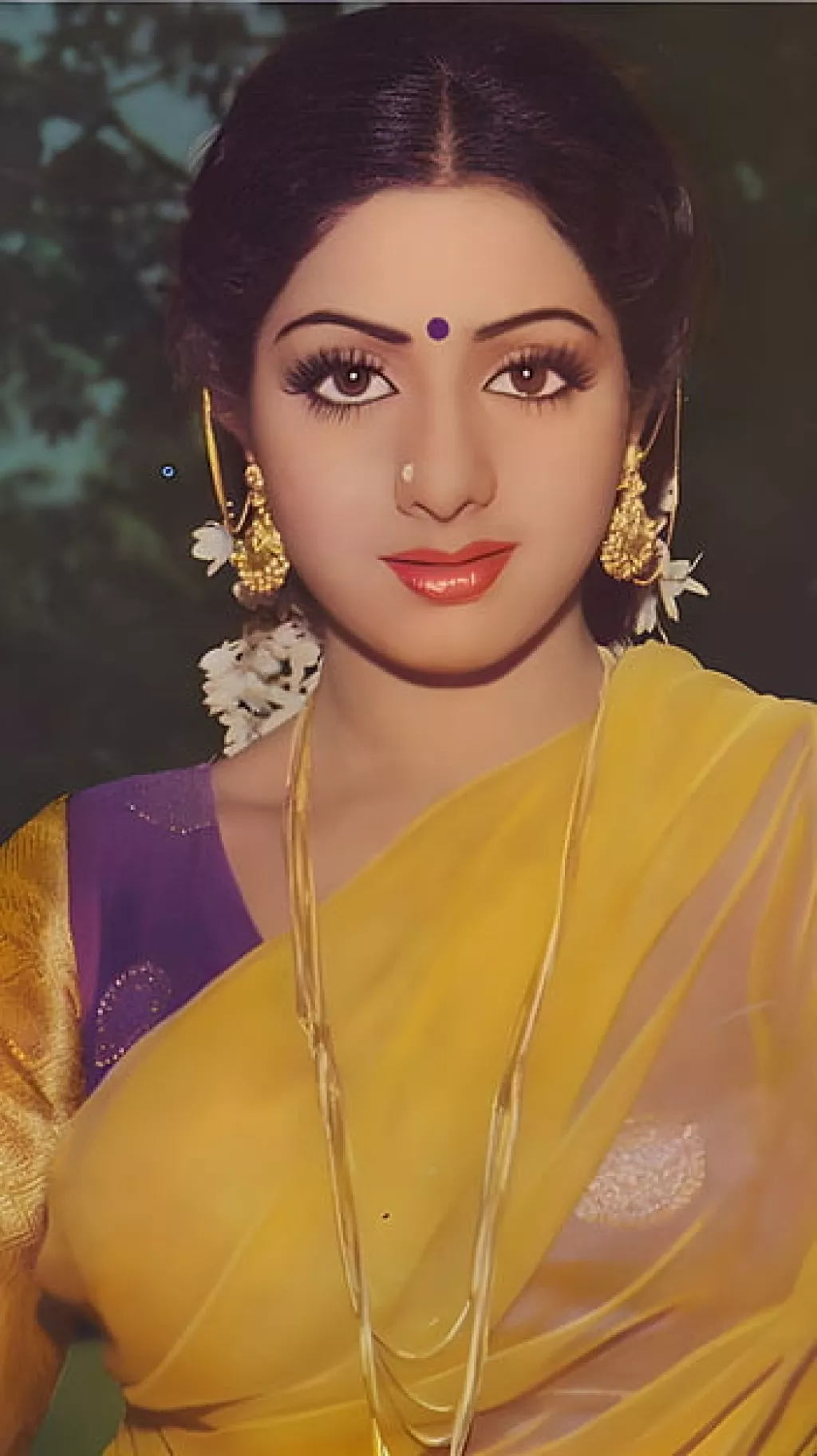 When Sridevi Revealed She Wanted To Age Gracefully, Shared 1st Beauty ...