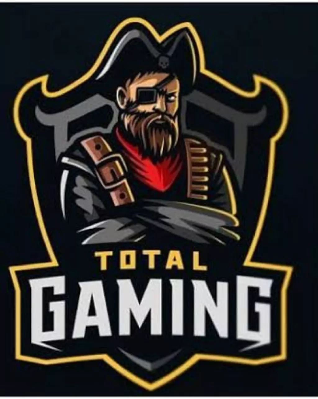 Indian Gamers With Net Worth In Crores: Techno Gamerz, Mortal, Dynamo ...