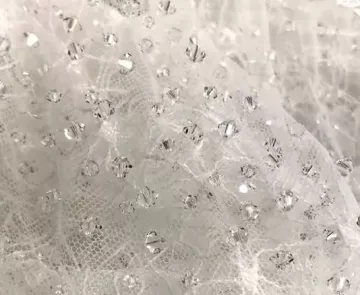 Wedding Dress With 50,890 Crystals Breaks The Guinness World Records ...