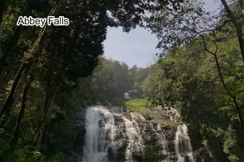 8 Reasons To Visit Coorg For A Short And Sweet Honeymoon