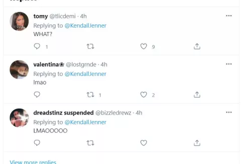 Kendall Jenner's Replies To Mom, Kris Jenner's Tweet, Sparking ...