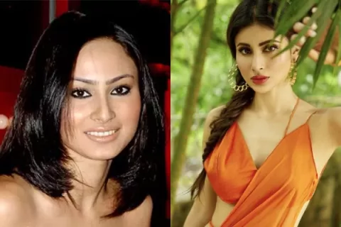 20 Divas Who Underwent Cosmetic Surgery To Enhance Beauty: Priyanka ...