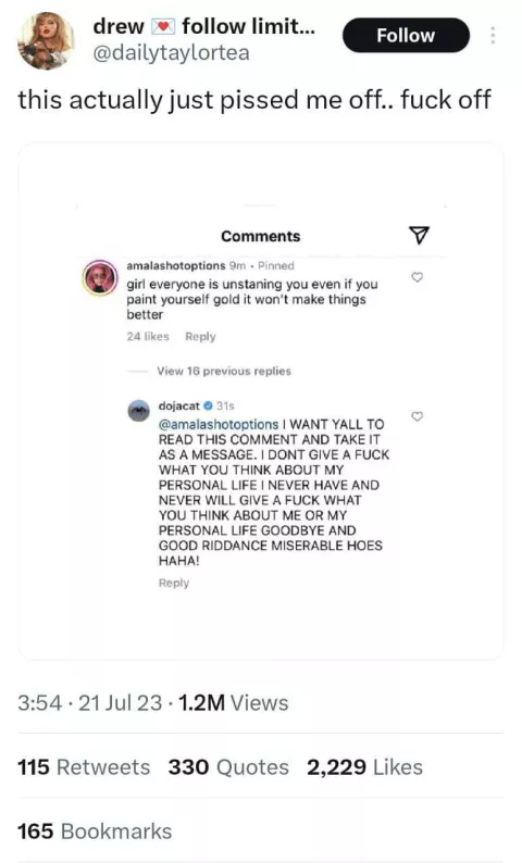 Doja Cat Fights and Blocks Her Fans For Her Alleged Boyfriend, The ...