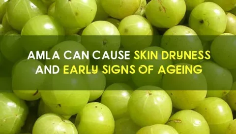 11 Rare And Shocking Side Effects Of Amla That You Definitely Did Not ...