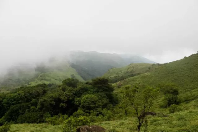 8 Reasons To Visit Coorg For A Short And Sweet Honeymoon
