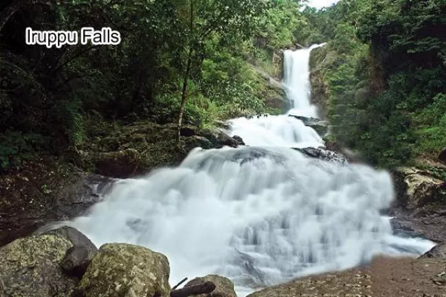 8 Reasons To Visit Coorg For A Short And Sweet Honeymoon