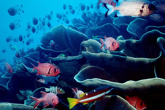 10 Places In Andaman And Nicobar Islands That You Must Visit On Your ...