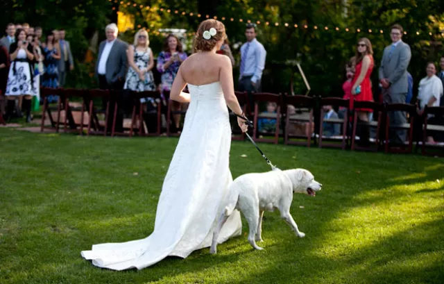9 Cool And Creative Ways To Include Your Pets In Your Wedding