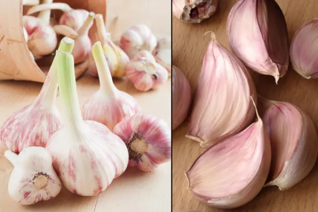 8 Easy Home Remedies For Quick Removal Of Skin Tags