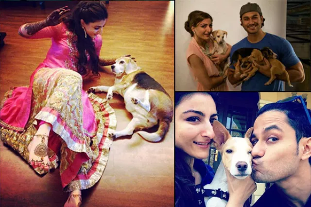 12 Reasons Why Women Who Love Dogs Make The Most Amazing Wives