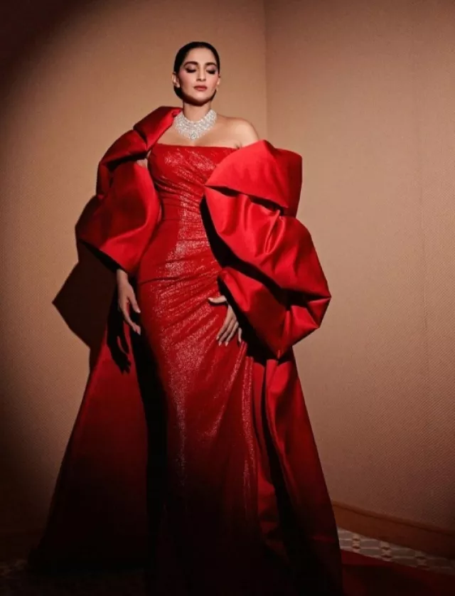 Sonam Kapoor's Glamourous Post-Pregnancy Looks That Serve As A Fashion ...