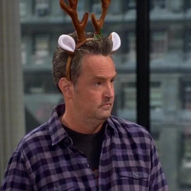 Matthew Perry Of 'Friends' Had Once Slipped Into Coma After His Heart ...