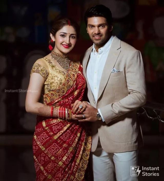 Celeb Tollywood Couples With A Huge Age Difference, From Sayyeshaa-Arya ...