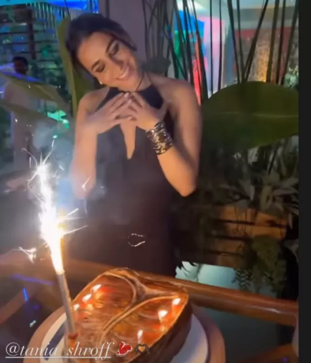 Billionaire Tania Shroff's Jungle-Themed Birthday Bash Had Unique Cake ...