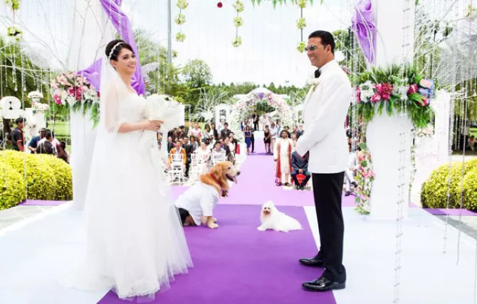 9 Cool And Creative Ways To Include Your Pets In Your Wedding ...