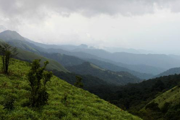 8 Reasons To Visit Coorg For A Short And Sweet Honeymoon