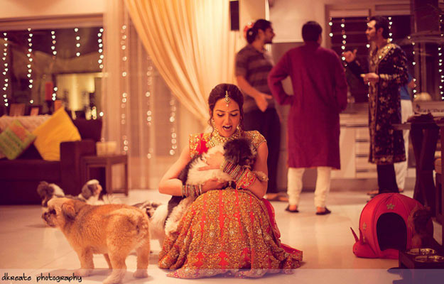 9 Cool And Creative Ways To Include Your Pets In Your Wedding