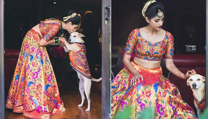 This Dog Was The Best Man At This Indian Couple's Wedding And The ...