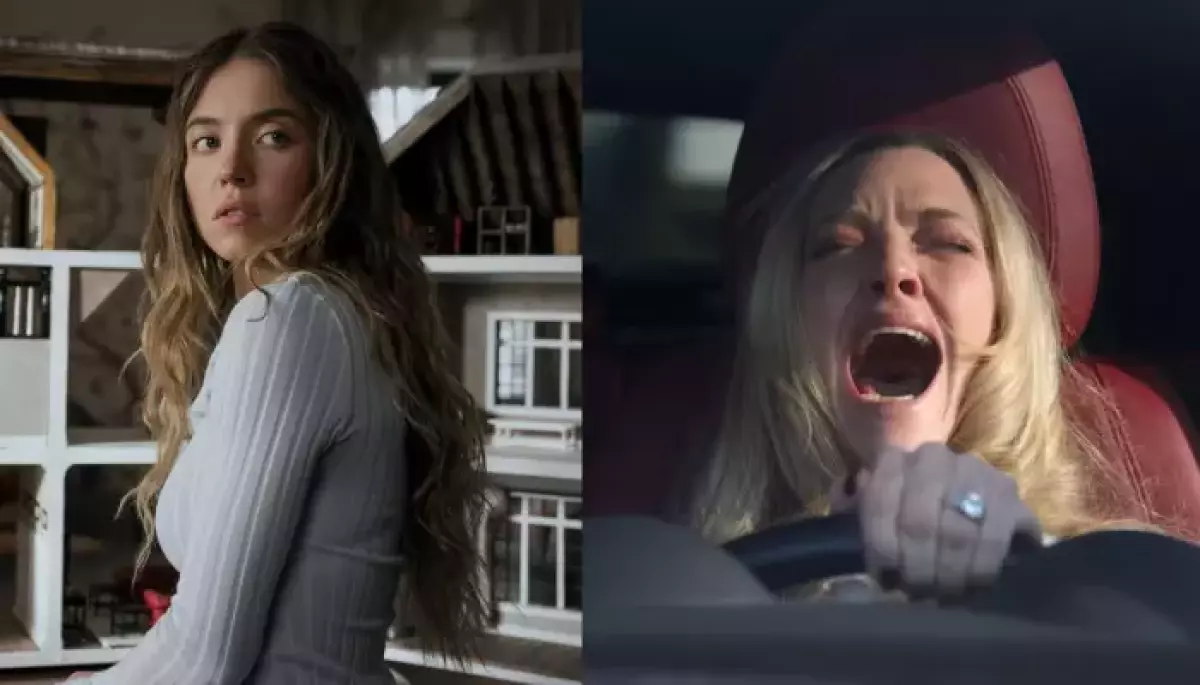 'The Housemaid' Ending Explained: Is Nina The Real Villain, Or Andrew ...