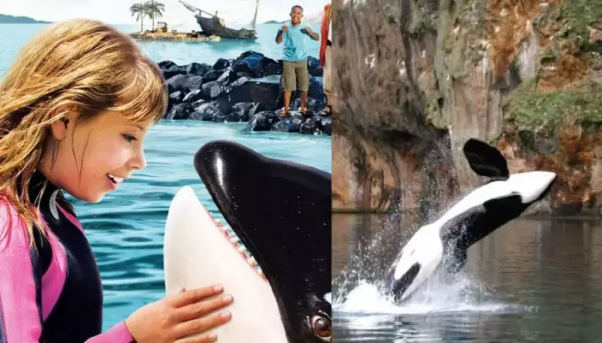 Jessica Radcliffe Orca Attack: All About Keiko, An Orca Who Acted ...